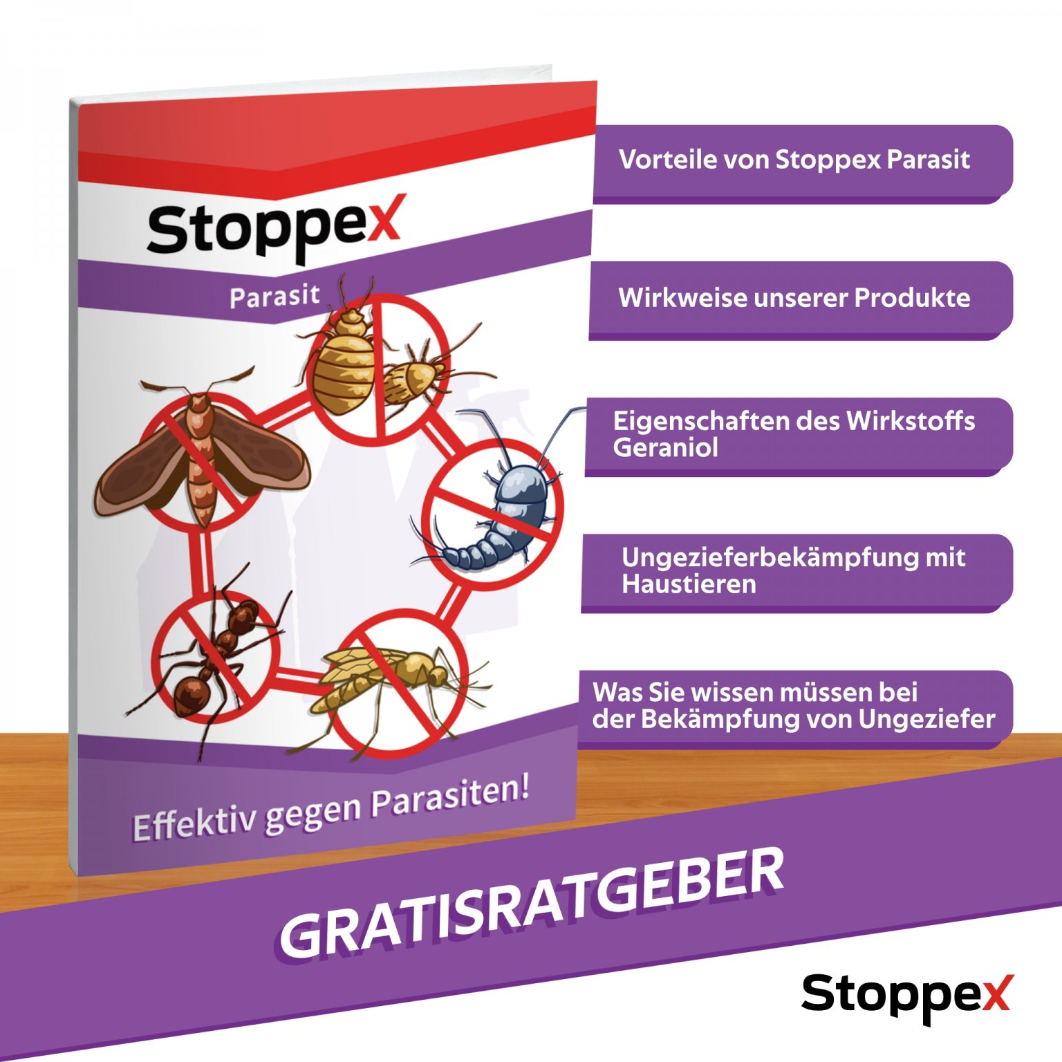 Ameisen Draussen Bekampfen